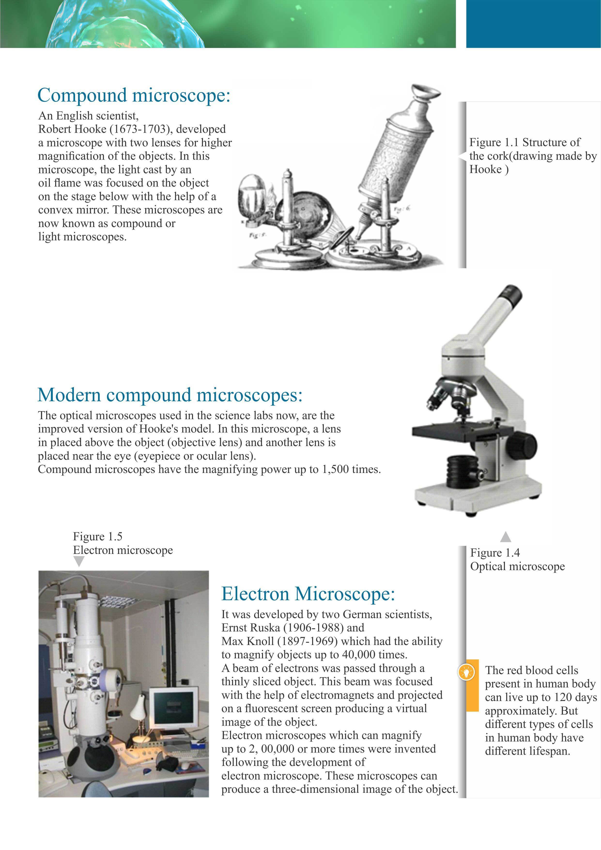 Eduauraa: A Premier Digital Learning Platform